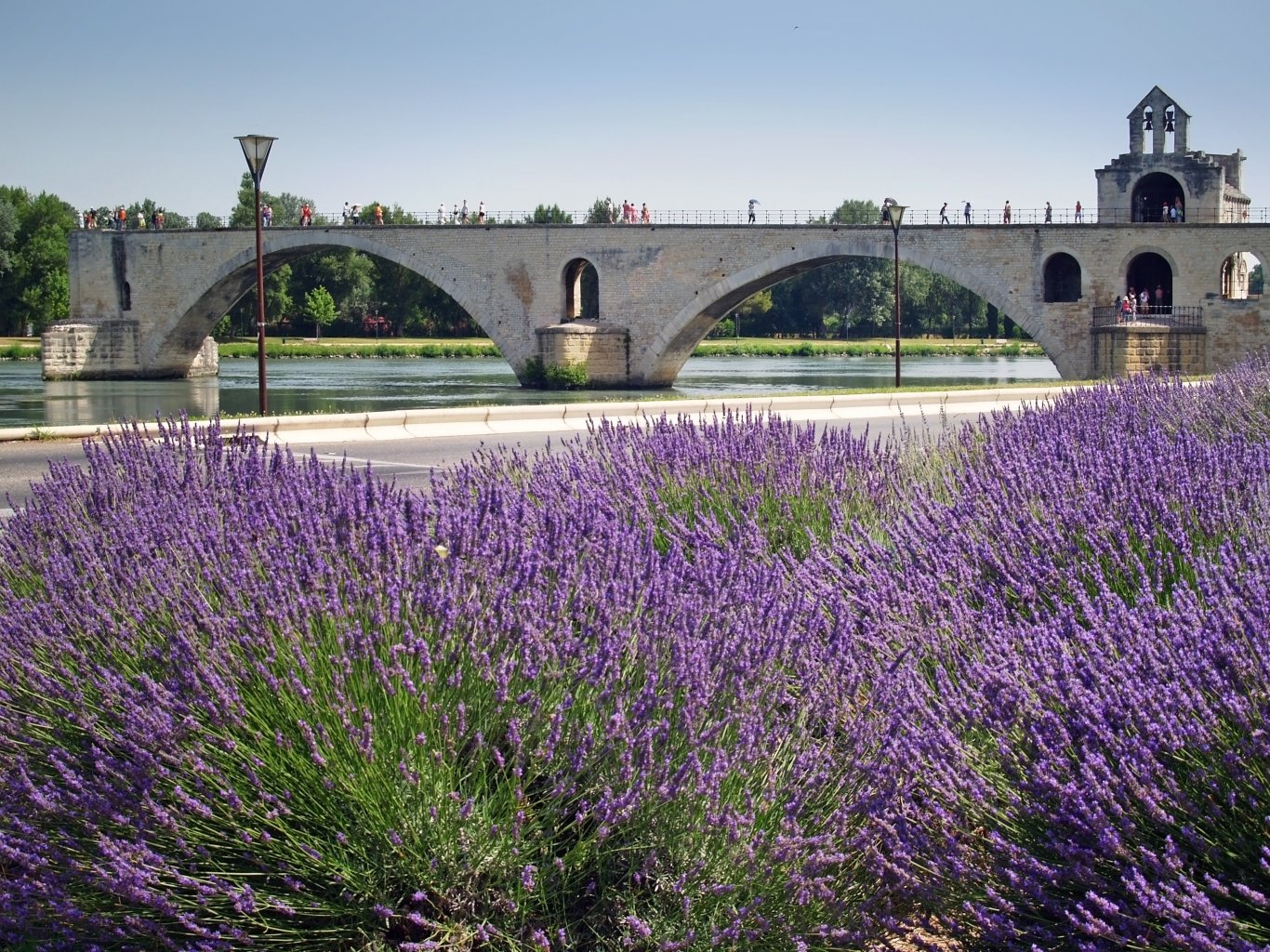 Colors Of The Provence | VIVA Cruises