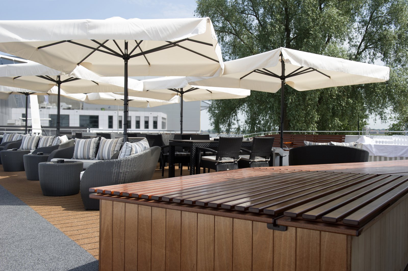 MS ANESHA | VIVA RIVERSIDE